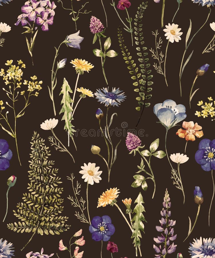 Watercolor Wild Flowers Pattern Stock Vector - Illustration of drawing ...