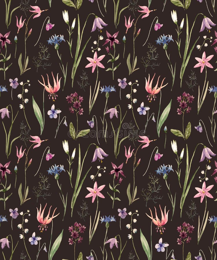 Watercolor Wild Flowers Pattern Stock Vector - Illustration of daisy ...