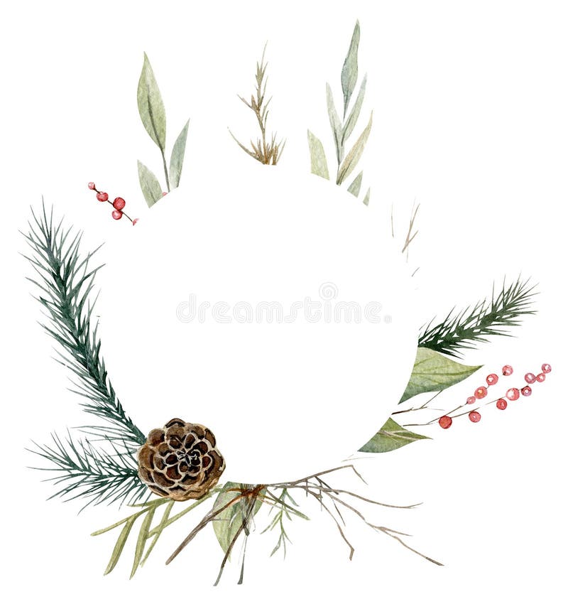 Watercolor Winter Frame of Spruce, Berries and Cone Stock Illustration ...
