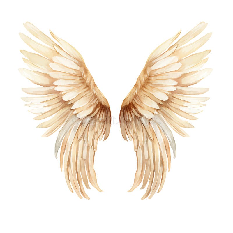 Watercolor Yellow Angel Wings Stock Vector - Illustration of watercolor ...