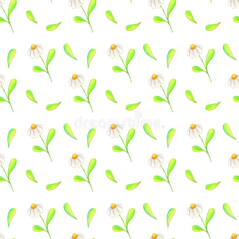 Watercolors Draw a Spring Seamless Pattern on a White Background ...