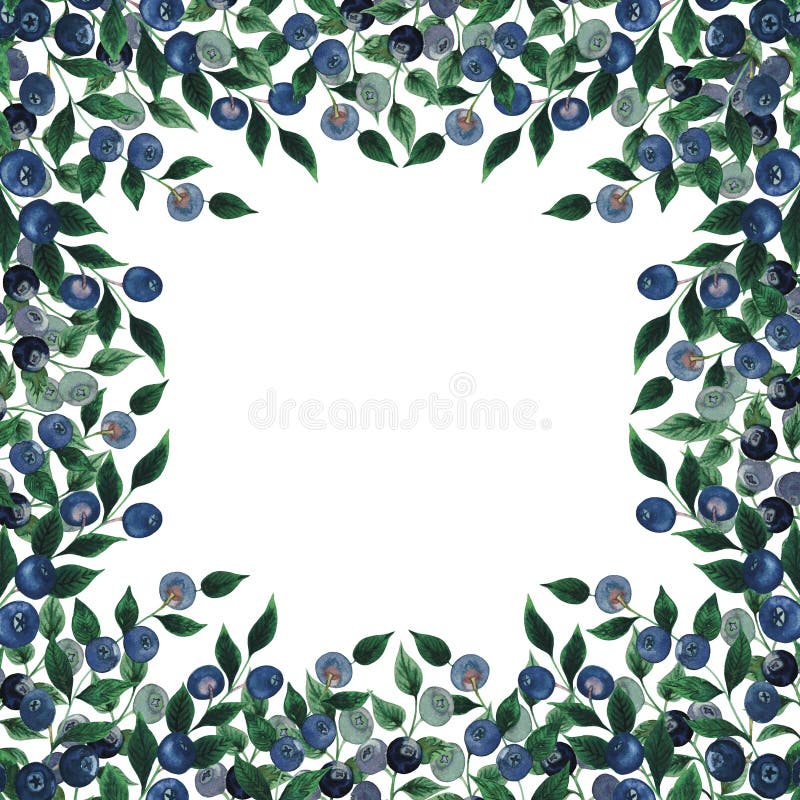 Blueberry Square Frame Template Stock Illustrations – 141 Blueberry ...