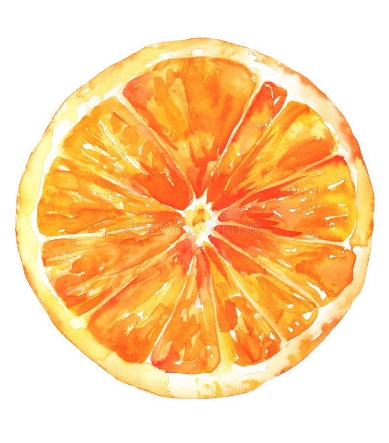 Watercolour Red Orange Cat Isolated on White Background. Cute Simple ...