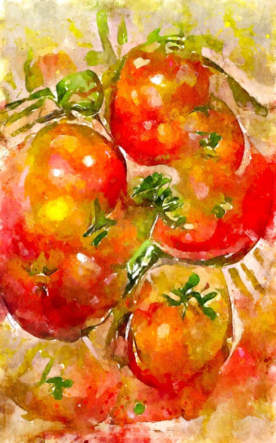 Watercolour Painted Vegetables of Red Tomatoes Stock Photo - Image of ...