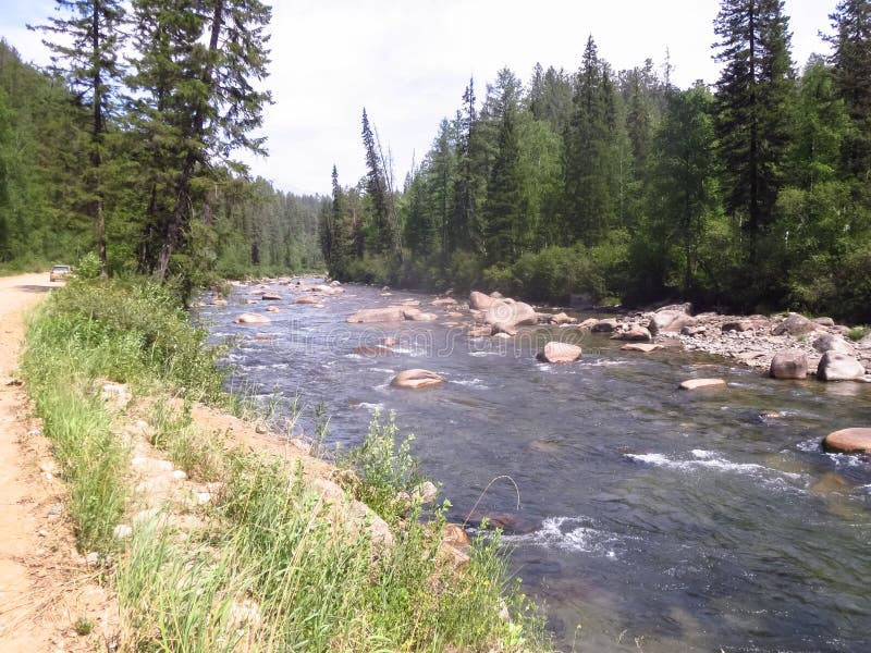 Watercourse stock photo. Image of green, wave, plant - 58014984