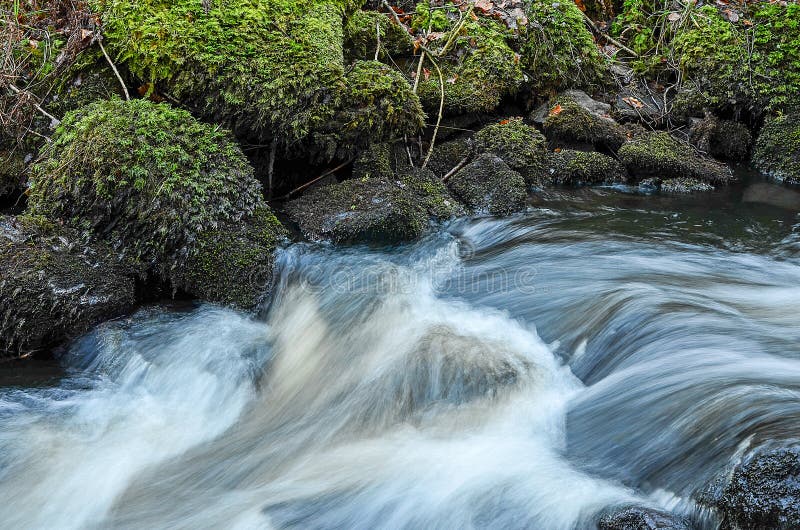 Watercourse stock image. Image of brook, moss, movement - 39046787