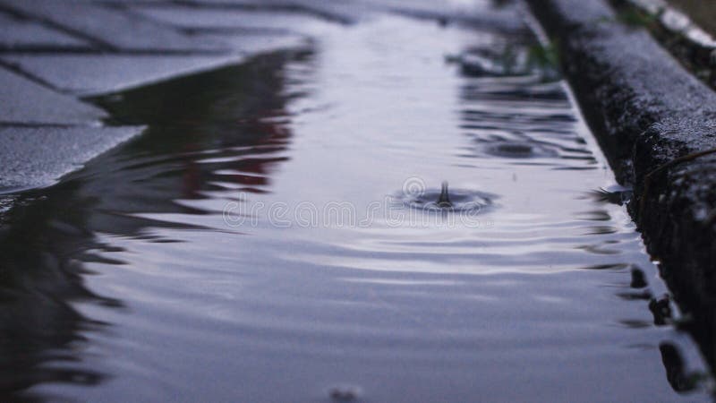 Waterdrop at the Side Street Stock Image - Image of nature, plant ...