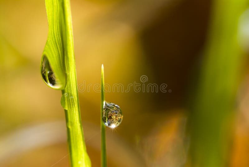 The waterdrops stock image. Image of glare, shimmer, shine - 4658847