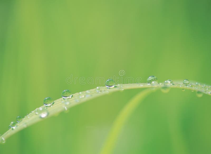 Waterdrops Con La Naturaleza Imagen de archivo - Imagen de cubo ...