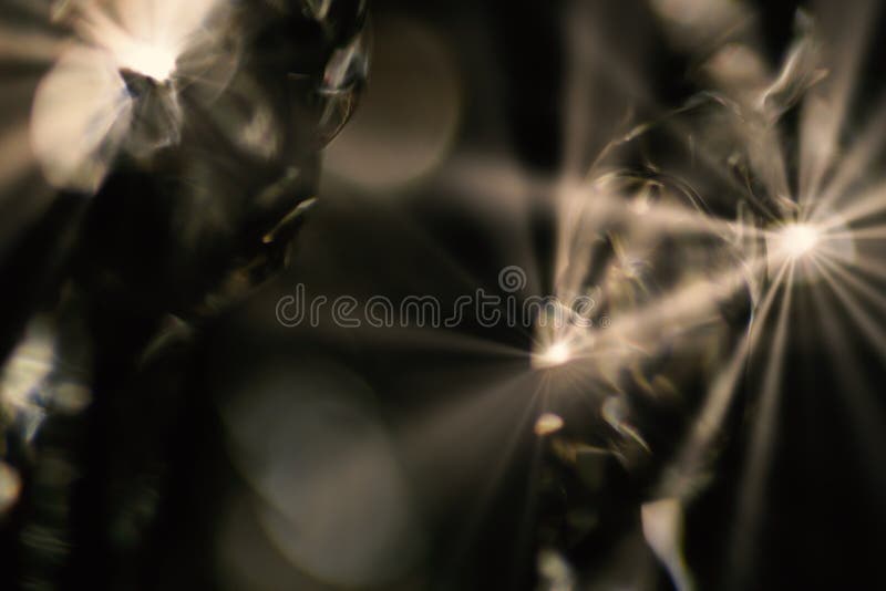Waterdrops and Light Flares Stock Image - Image of closeup, softness ...