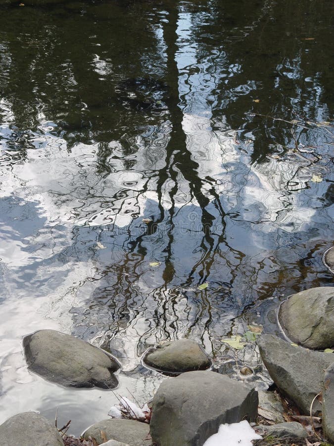 Watered Down Trees stock photo. Image of waves, stones, clouds - 84816