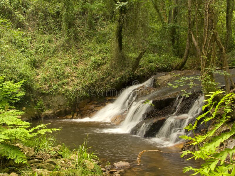 Scenic Forest Waterfall Zoomed Out Stock Image - Image of rocks ...