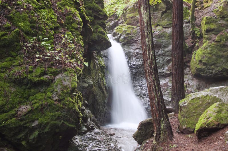 Waterfall side view stock image. Image of peaceful, nature - 1295387