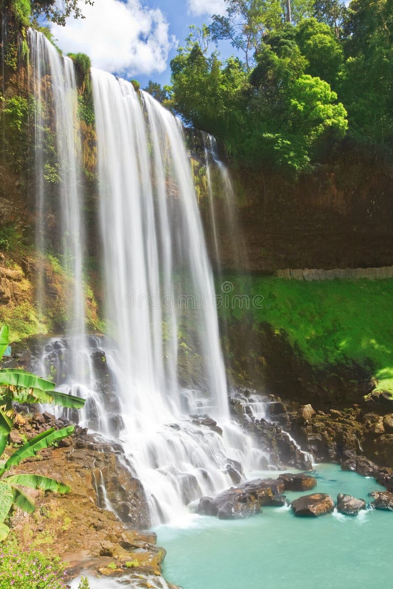 558 Lotus Flower Waterfall Stock Photos - Free & Royalty-Free Stock ...