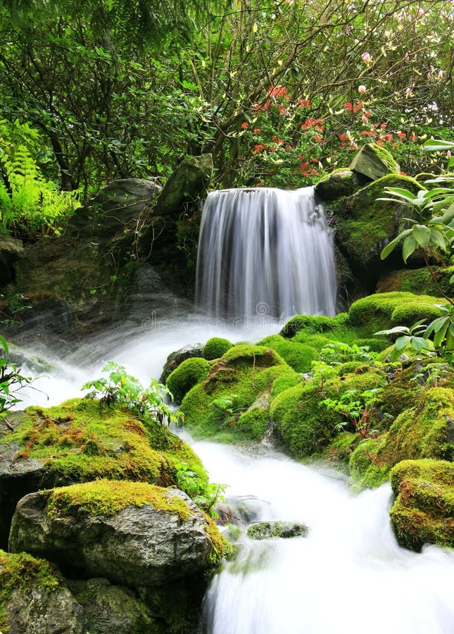 Waterfall stock image. Image of small, boulders, foliage - 14164667