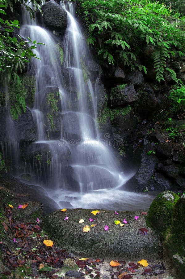 Waterfall stock photo. Image of falls, nature, colors - 1467928