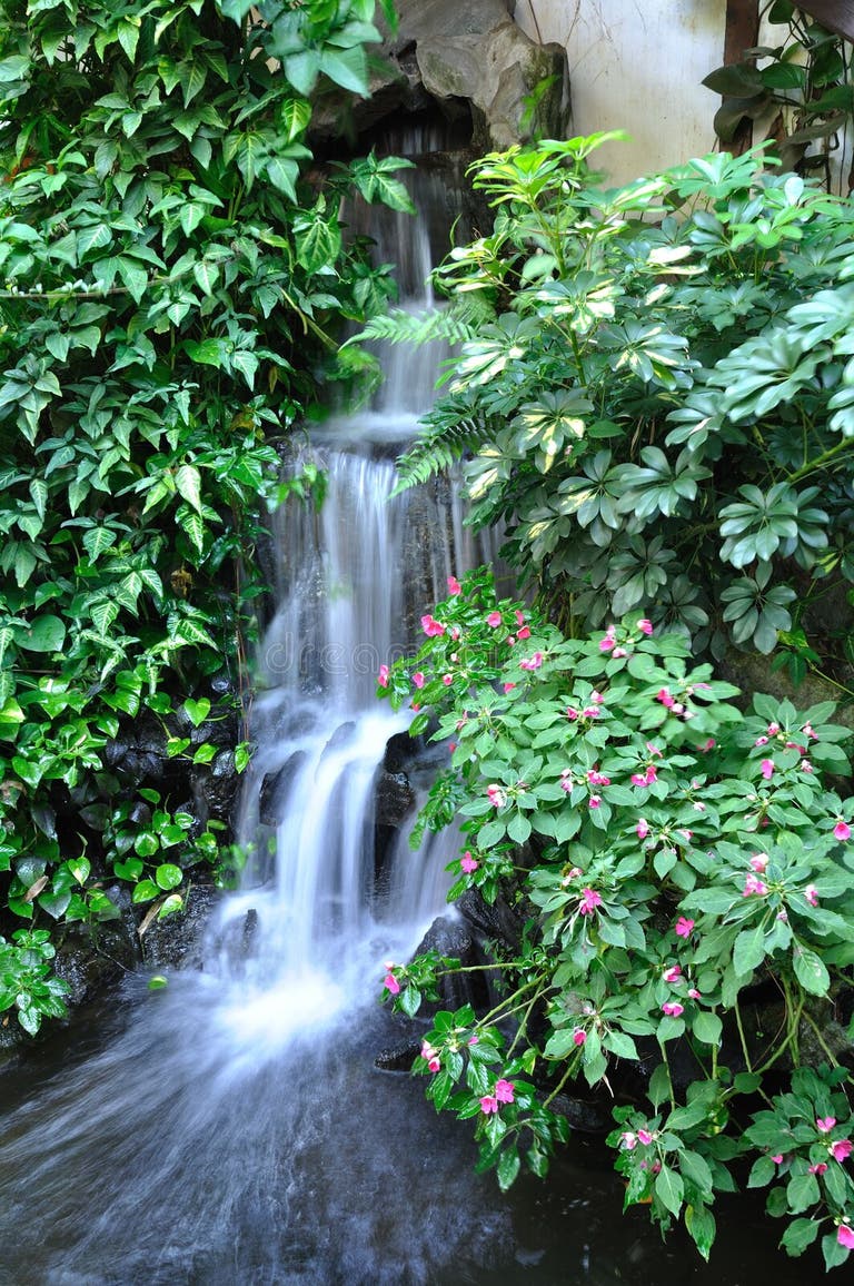 1,792 Waterfall Wall Plants Stock Photos - Free & Royalty-Free Stock ...