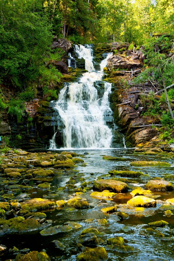 Waterfall stock image. Image of landscape, flora, wood - 15677161