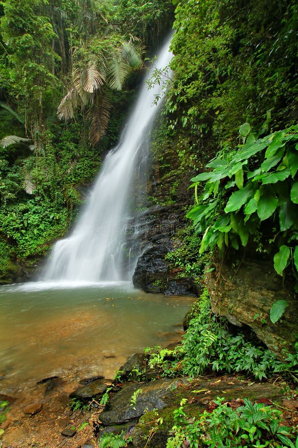 Waterfall in Ulu Temburong National Park, Brunei, Borneo Stock Image ...