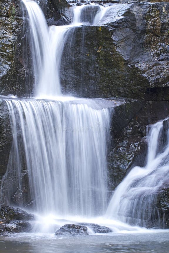 561 Waterfall Lotus Flower Stock Photos - Free & Royalty-Free Stock ...
