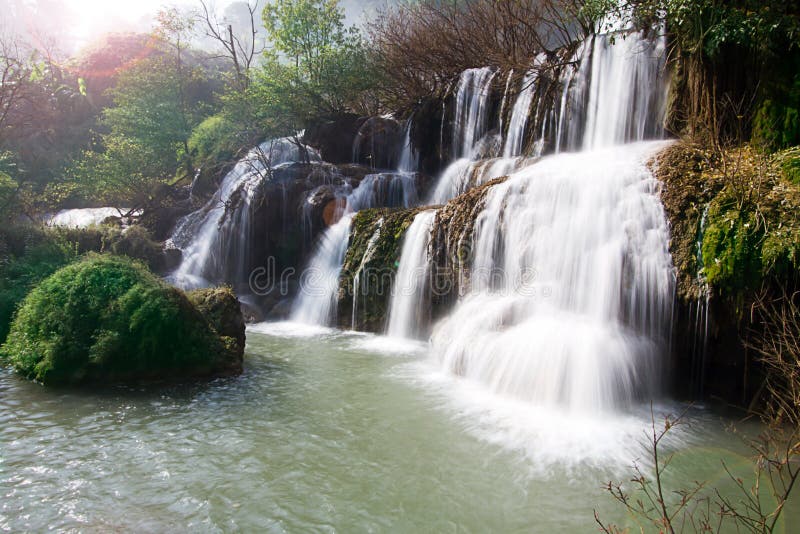 Koi Fish in Pond at Garden with a Waterfall Stock Image - Image of ...