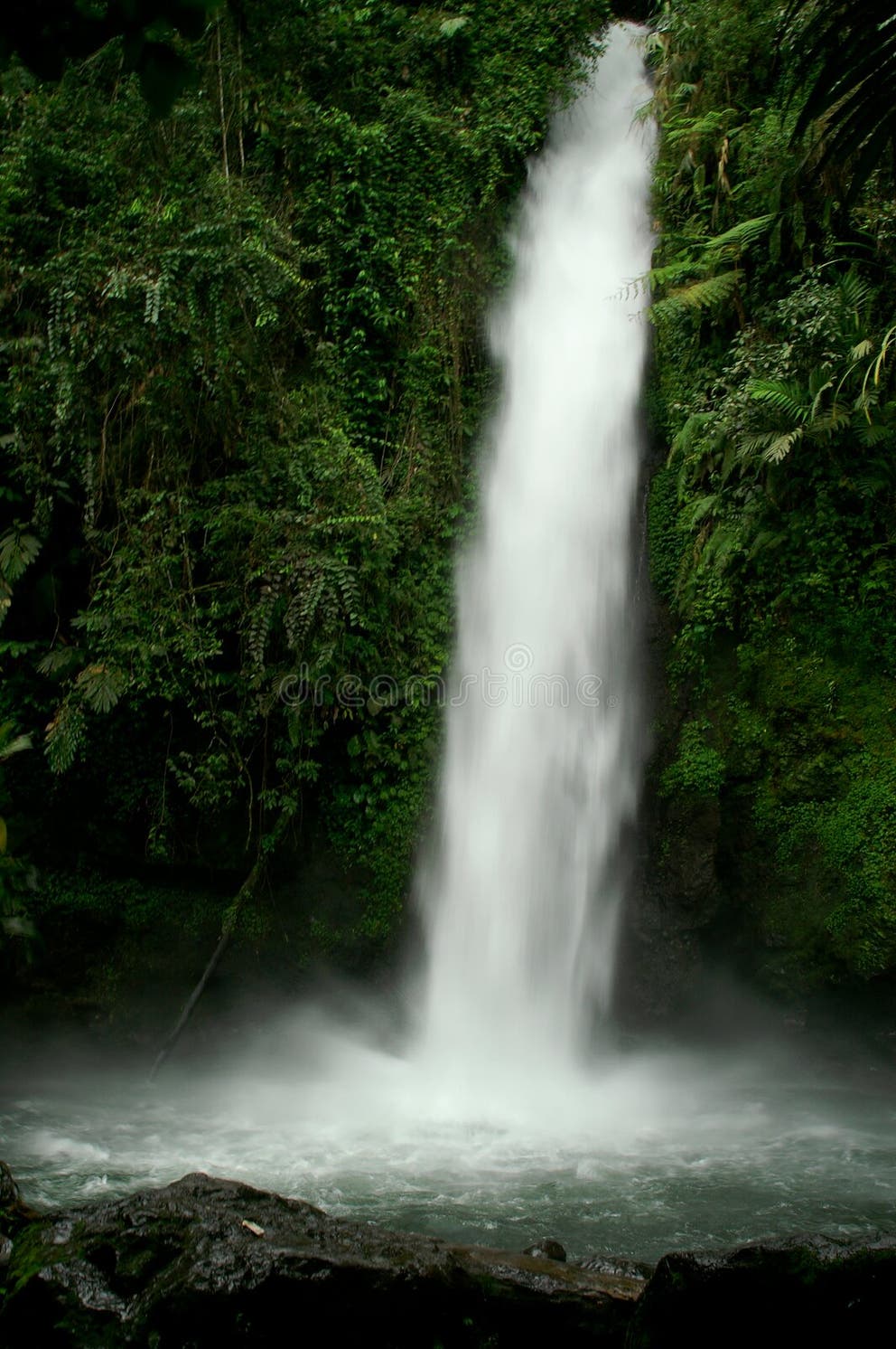 235 Sukabumi Waterfall Stock Photos - Free & Royalty-Free Stock Photos ...