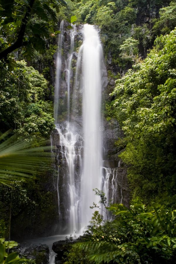 Many Waterfalls in Plitvicka Jezera Park Stock Image - Image of forest ...