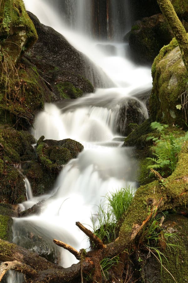Spring water waterfall stock image. Image of green, natural - 22703841