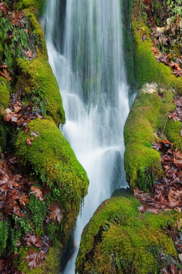 Waterfall stock image. Image of leaves, moss, nature - 23715541