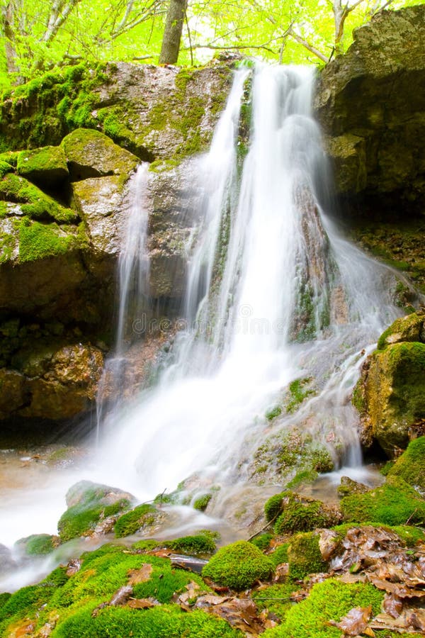 Source of spring water stock image. Image of irrigate - 43892745