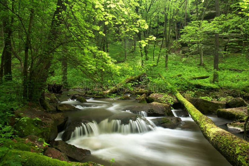 River in spring forest stock image. Image of outdoor, waterfall - 5267729