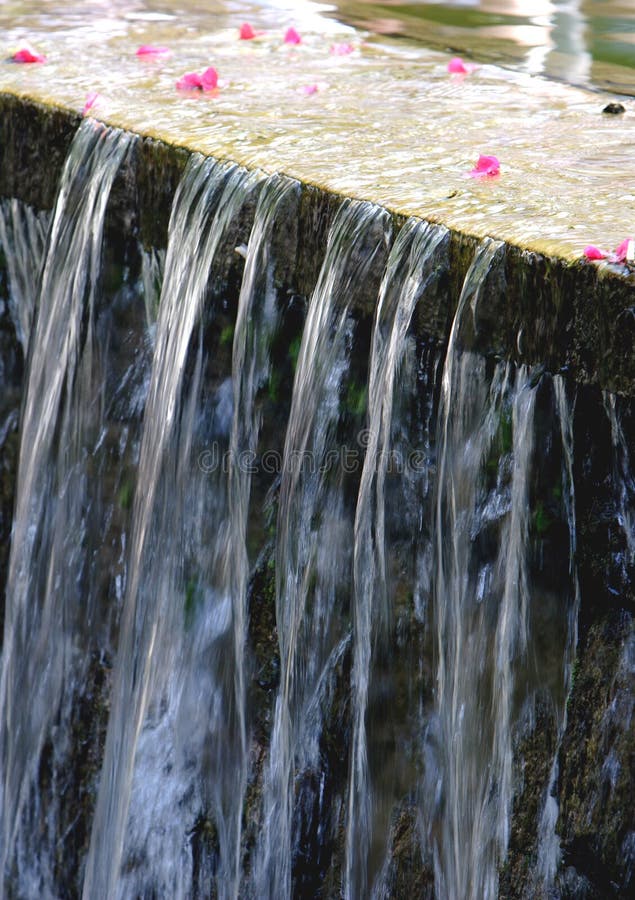 Hawaiian zen stock image. Image of peace, orchid, waterfall - 312323
