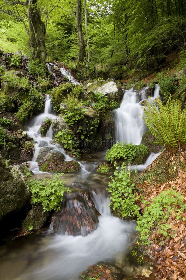 Waterfall stock photo. Image of humid, fall, gloom, beauty - 5715886