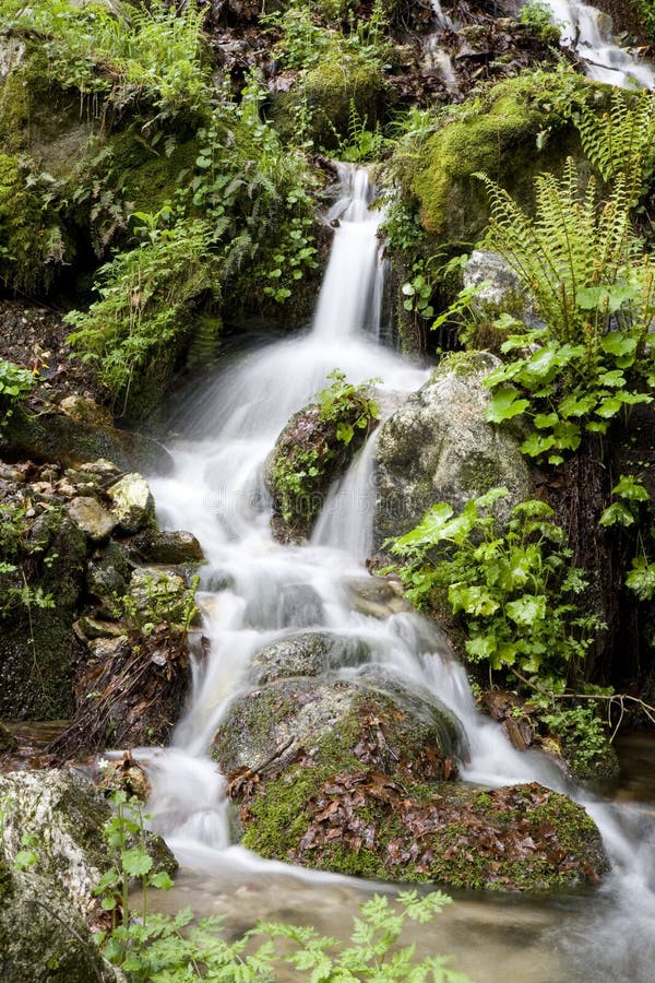 Waterfall stock photo. Image of humidity, meditation, fall - 5716136