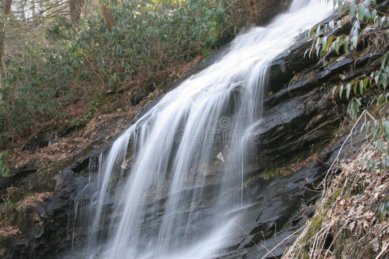 Rubber tree Plantation stock photo. Image of plant, plantation - 6583274