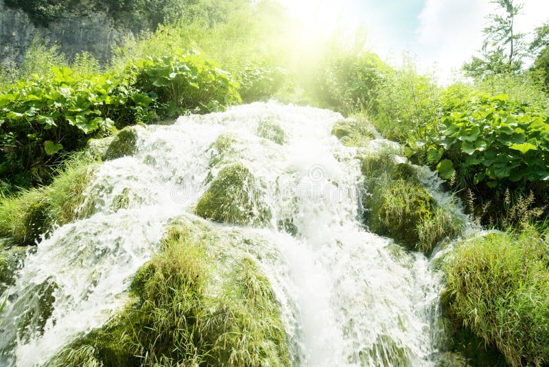 Sunrise over waterfall stock photo. Image of beams, forest - 7731540