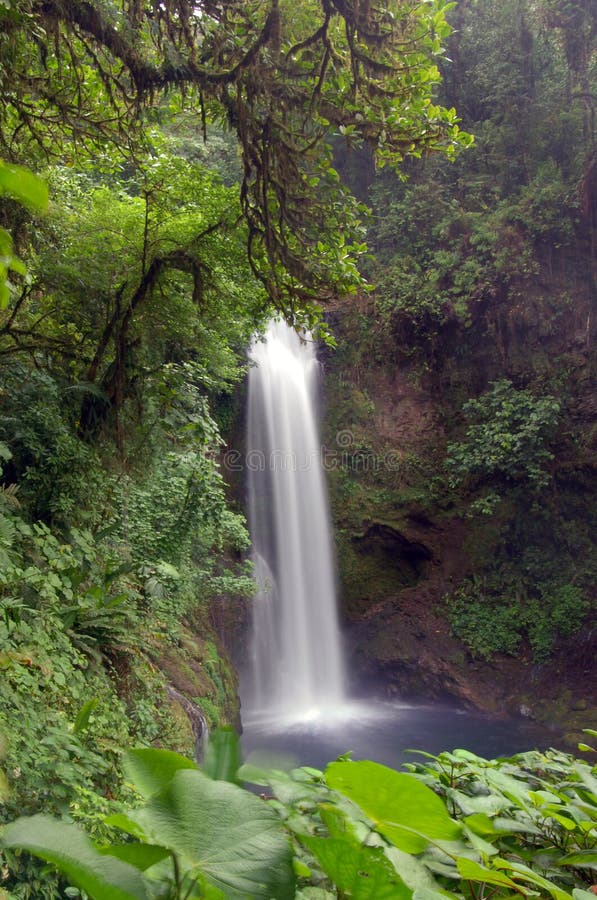 Waterfall stock photo. Image of forest, gardens, nature - 7479054