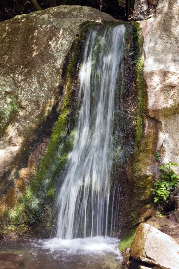 Waterfall and Brook in Mountain Forest Ravine Stock Image - Image of ...