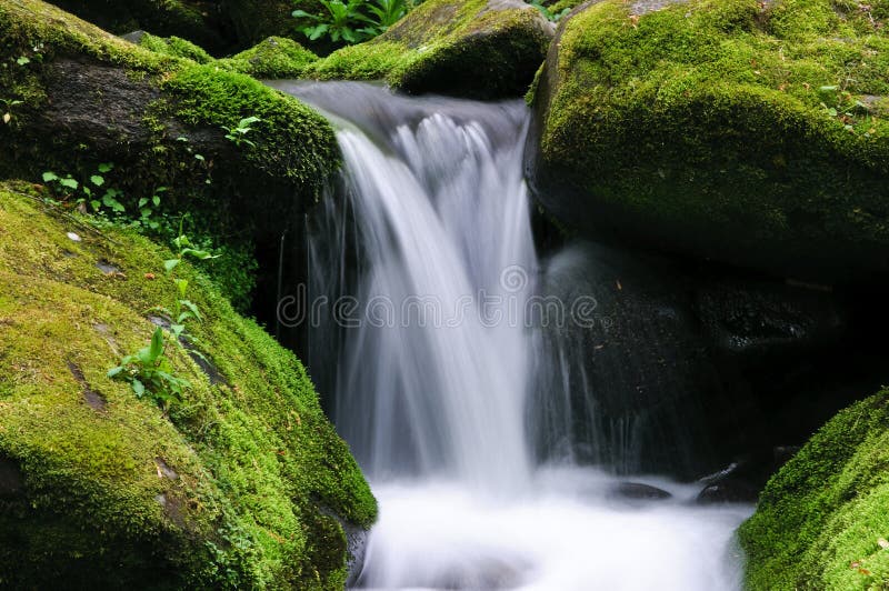 Waterfall stock photo. Image of river, tree, limpidity - 10180344