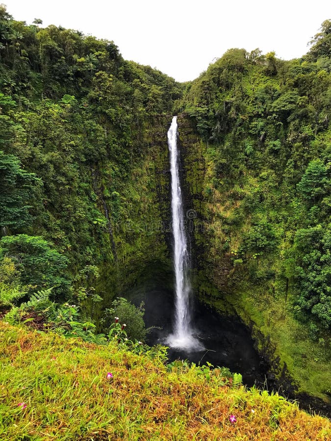 Akaka falls stock image. Image of drop, hill, akaka - 105116051