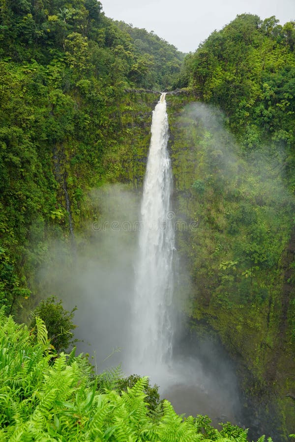 Waterfall at Akaka Falls State Park Stock Image - Image of tall ...