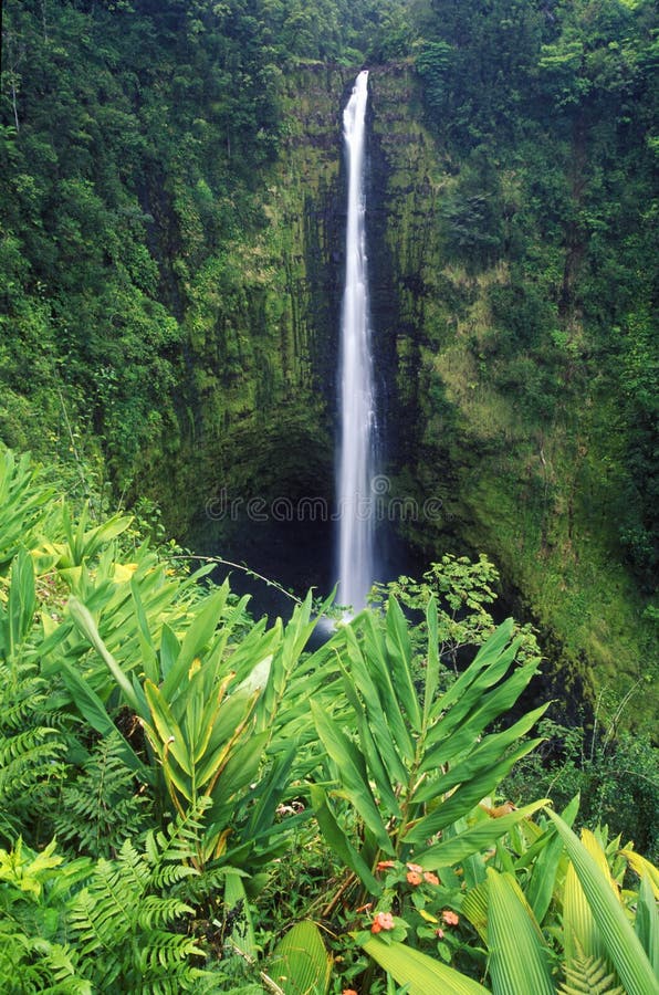 Waterfall in Akaka Falls State Park, Hawaii Stock Image - Image of ...