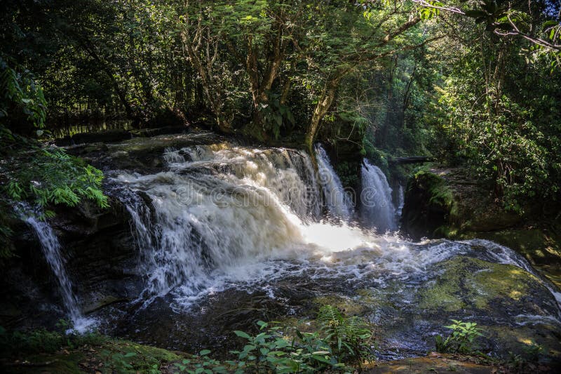Waterfall Amazon Rainforest Stock Photo - Image of conservation ...