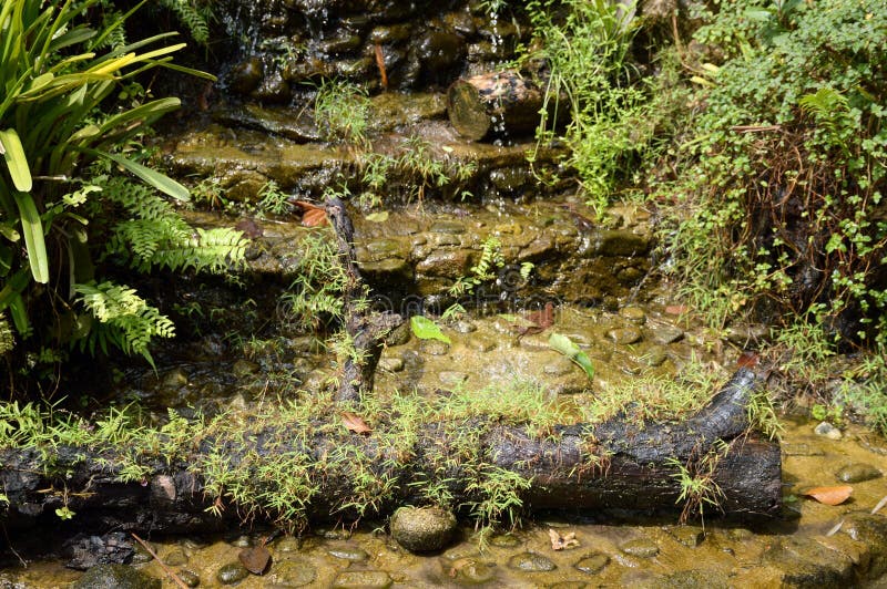 Waterfall artificial stock photo. Image of waterfall - 93720288