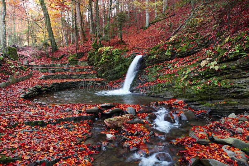 Waterfall in the Autumn Beech Forest Stock Photo - Image of autumn ...