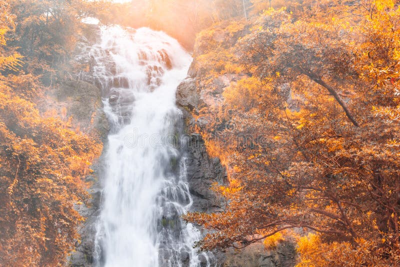 Waterfall , Autumn Landscape Stock Image - Image of magic, nature: 78825393