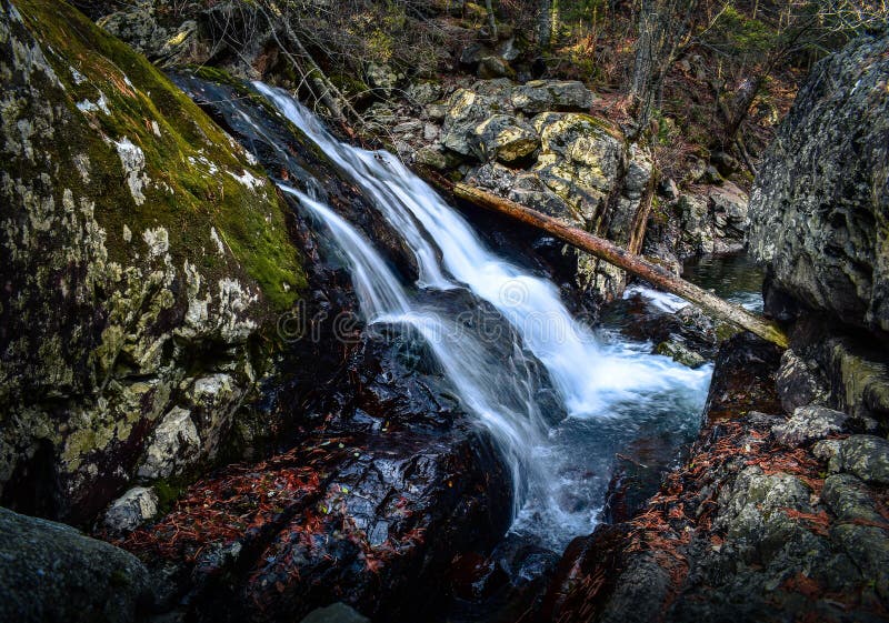 Waterfall in the Taiga Forest Stock Image - Image of green, rock: 180353043