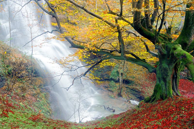 Waterfall in Autumn with Tree Stock Image - Image of scenery, moss ...