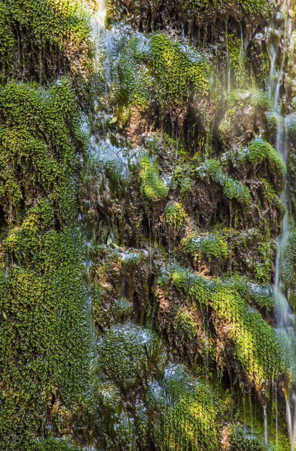 Waterfall Background Green Grass Stock Image - Image of waterfall ...