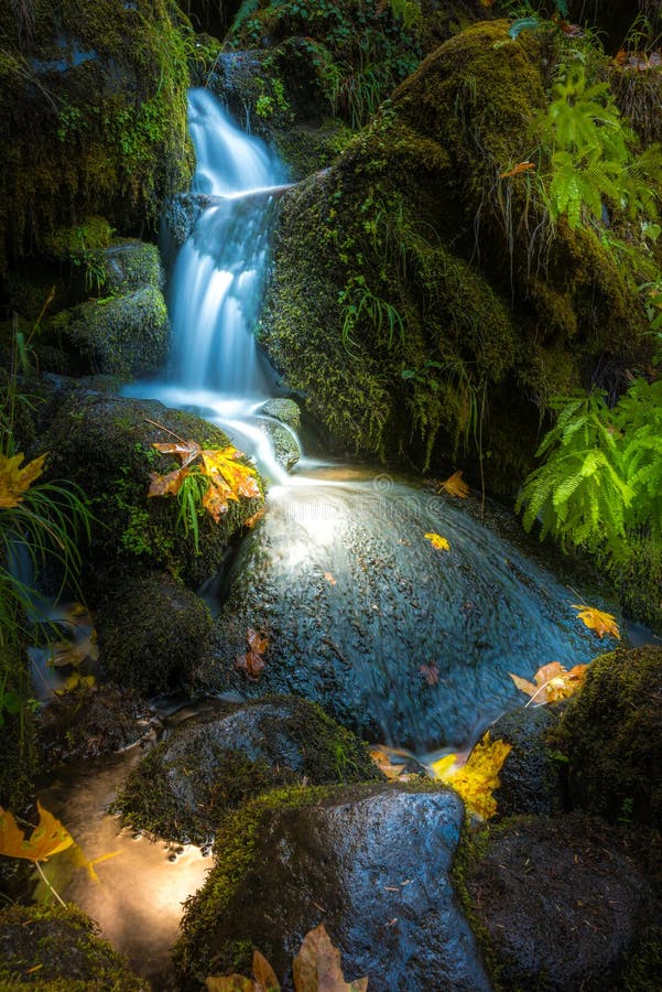 Waterfall Background Oregon Fall Colors Stock Photo - Image of water ...
